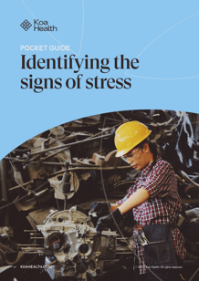 Identifying the signs of stress